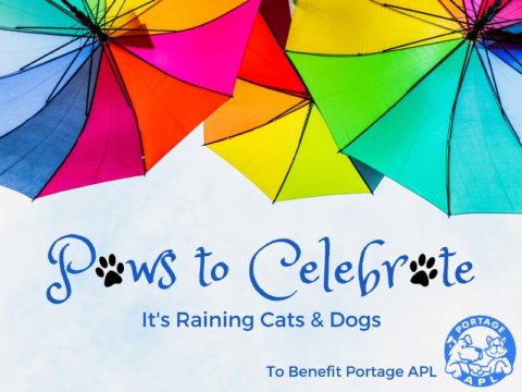 Home - Portage Animal Protective League