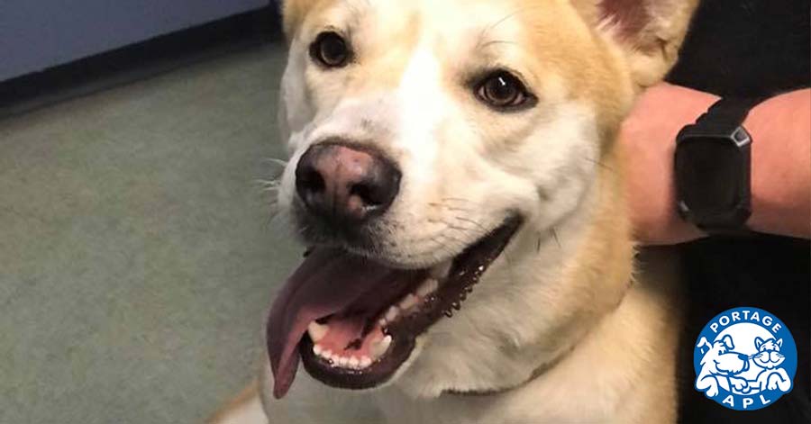 About - Portage Animal Protective League