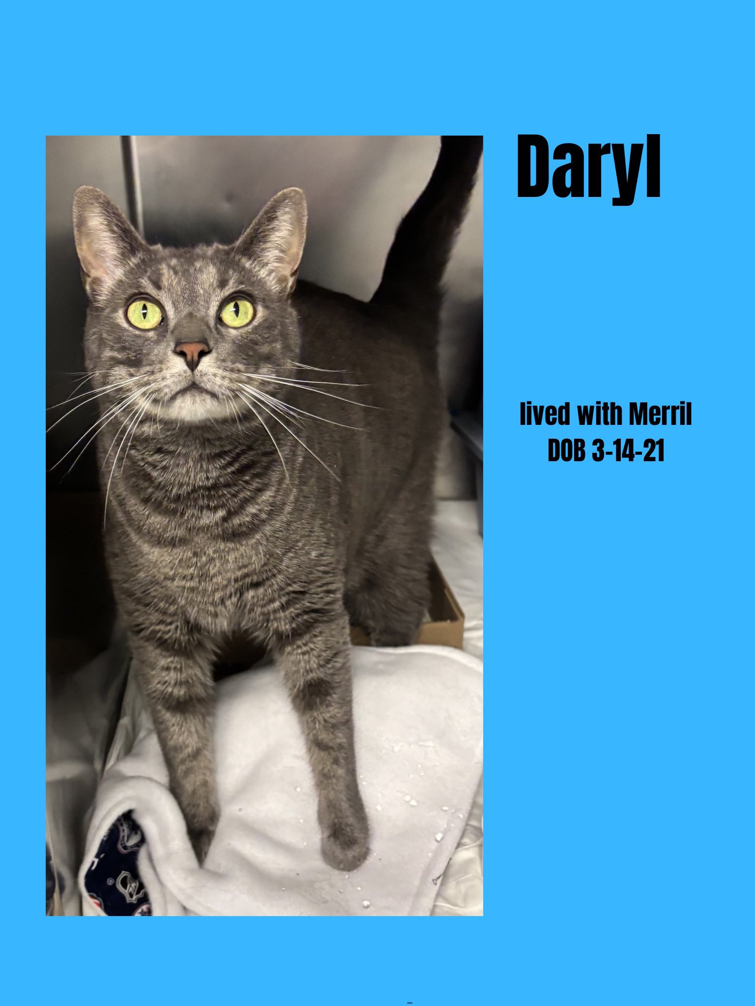 Available Pets - Portage Animal Protective League